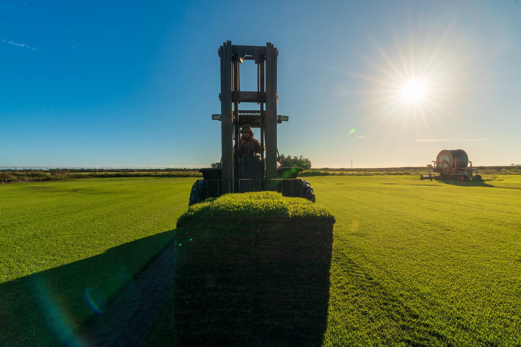 Grass Best Prices & Sod Installation in Texas - DFW